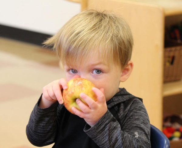 The Role of Nutrition in Child Development - Inspire Centre for Learning